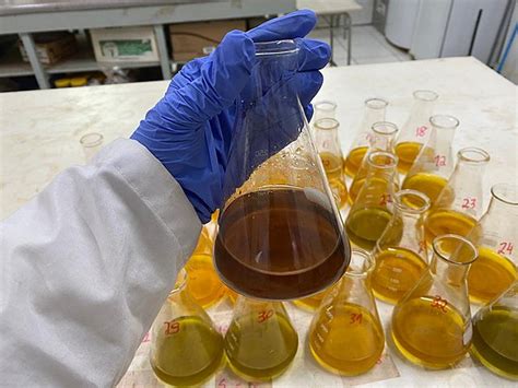 Dart Ms Testing Enviropass