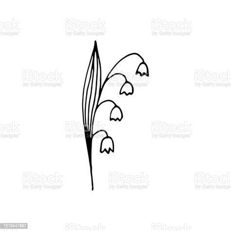 귀여운 한 손으로 그린 꽃 스노우 드롭 봄 꽃입니다 웨딩 디자인 로고 인사말 카드 및 계절 부활절 디자인낙서 벡터 그림입니다 0명에 대한 스톡 벡터 아트 및 기타 이미지