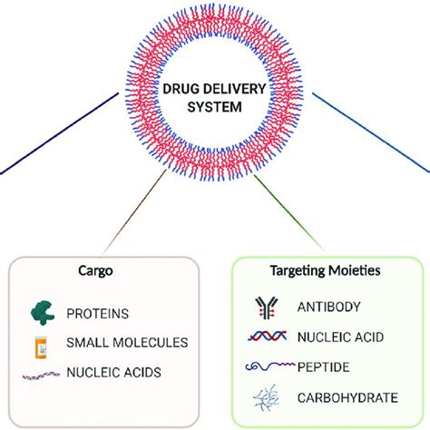 Overview Of Drug Delivery Systems Dds For Precision Medicine Created Download Scientific