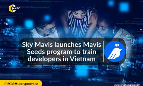 Sky Mavis Launches Mavis Seeds Program To Train Developers In Vietnam Cryptotvplus The