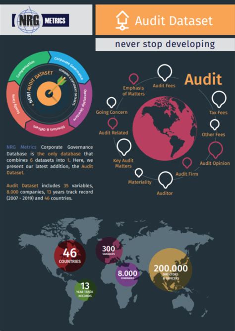 Audit Dataset Nrg Metrics