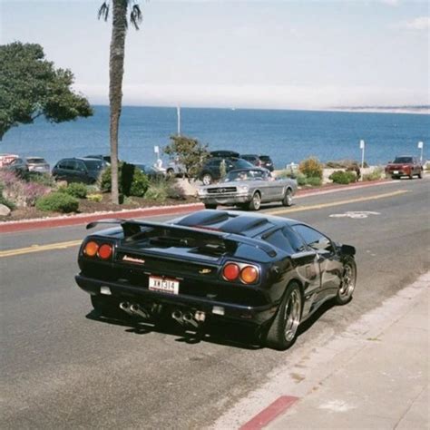 Stream Mango Tree By Phony Hawk Listen Online For Free On Soundcloud