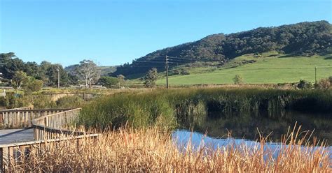 Mt Compass Wetlands Walk Near Iga Find A Place To Walk
