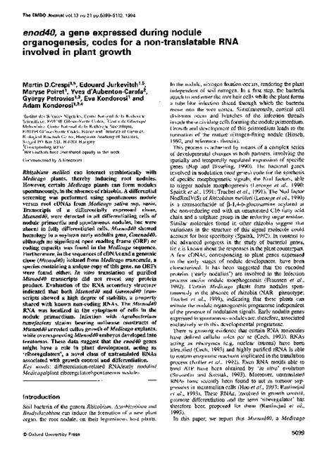 Pdf Enod40 A Gene Expressed During Nodule Organogenesis Codes For A