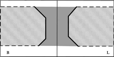 step ii of cp triangulation download scientific diagram