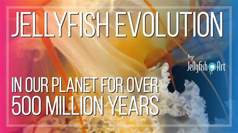 You Wont Believe How Long Jellyfish Have Been Around 500 Million Yrs