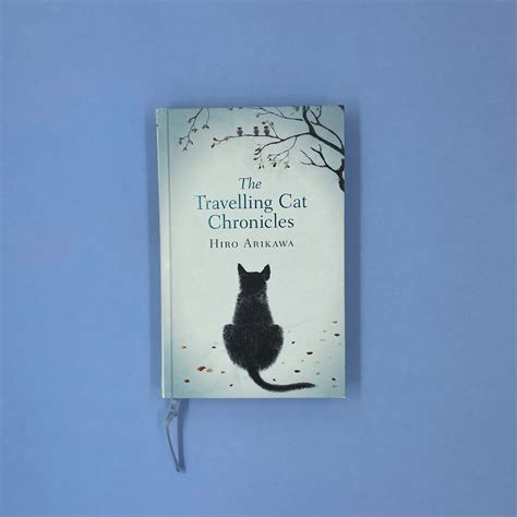 Chronicles Of A Travelling Cat 60 Photos