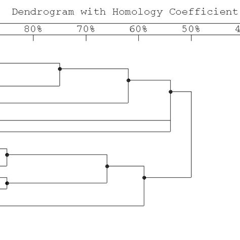 dendrogram derived by upgma cluster analysis using uvi bandmap software