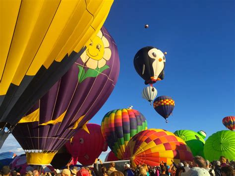 filemaker white papers org charts elon musk and exercise filemakerprogurus