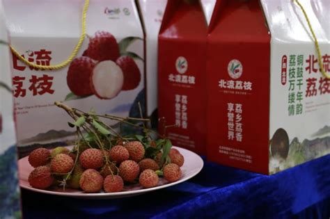 香甜給「荔」！玉林北流大力推動荔枝品牌建設 魅力廣西 Famousguangxi