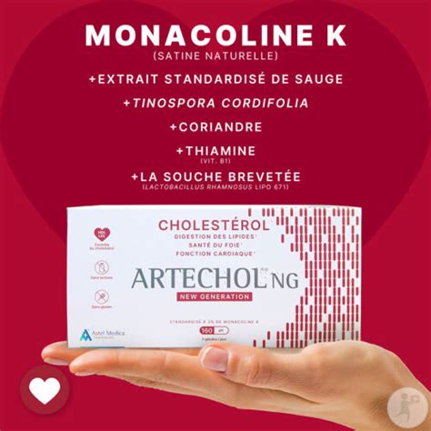 Artechol Ng Favoriser Un Bon Taux De Cholestérol Complément Alimentaire