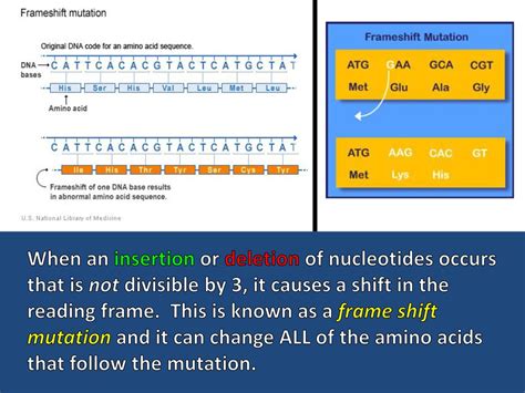 Mutations Ppt Download