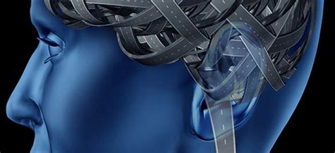 Nlp Diploma Dynamic Equilibrium System