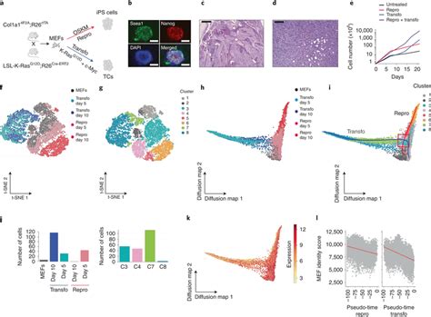 Comparing Single Cell Trajectories Of Reprogramming And Download
