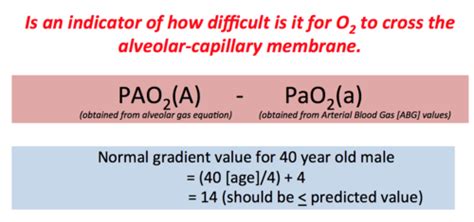A A Gradient Flashcards Quizlet