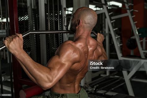 성숙한 Bodybuilder 있는 무거운 운동을 등근육 건강한 생활방식에 대한 스톡 사진 및 기타 이미지 건강한 생활방식 근육 강화운동 근육질 체격 Istock