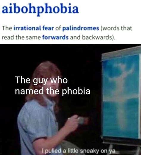 Irrational Phobia Rmemes
