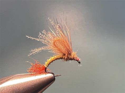 Henny Wonderbug Gates Au Sable Lodge