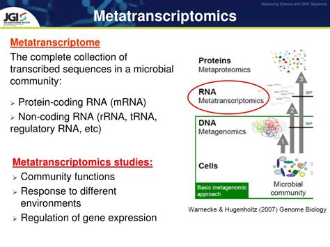 Ppt Metatranscriptomics Challenges And Progress Powerpoint Presentation Id 2983970