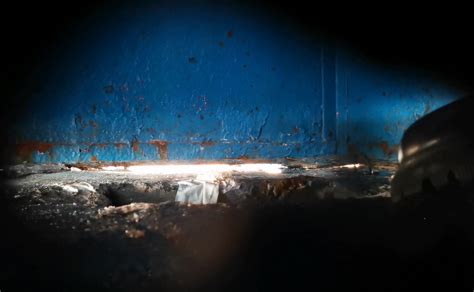 Using The Toilet Woman Photo My Xxx Hot Girl