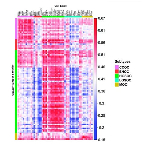 Correlation Matrix Comparing Similarity Of Cell Line Models To Primary Download Scientific