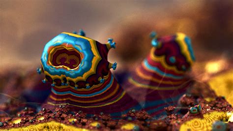 Anthozoa By Batjorge On Deviantart