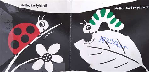 Hello Bugs Lotus Community Library Library For Families