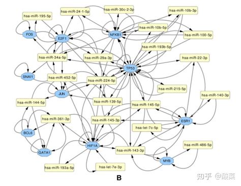 生信小白怎么快速入门 知乎