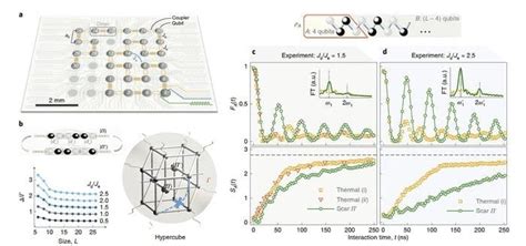 Quantum Coherence Gets A Boost With New Developments