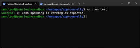 Understanding Wp Cron Runcloud Docs