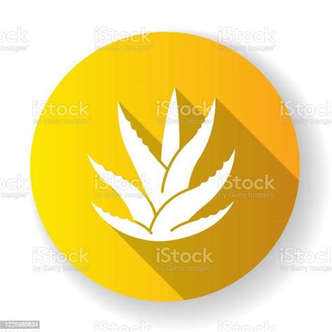 즙이 많은 노란색 플랫 디자인 긴 그림자 문 양 아이콘입니다 알로에 베라 콩나물 선인장 잎 약초 를 재배 장식 식물 유기 화장품