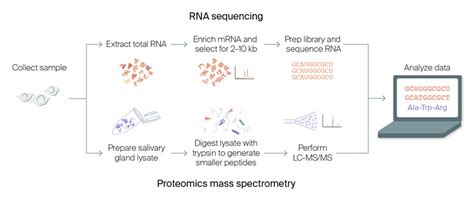 Performing Mass Spectrometry Based Proteomics In Organisms With Minimal