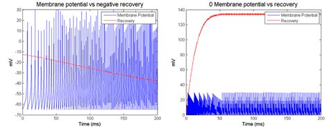 Incorrectly Selecting Parameters In Izhikevichs Model Parameters Are Download Scientific