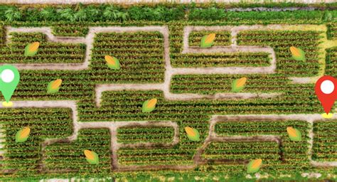 The Best Unplugged Sequence Activity For Fall Kodable