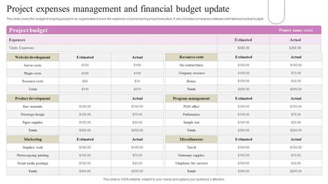 Project Expenses Management And Financial Budget Update Ppt Example