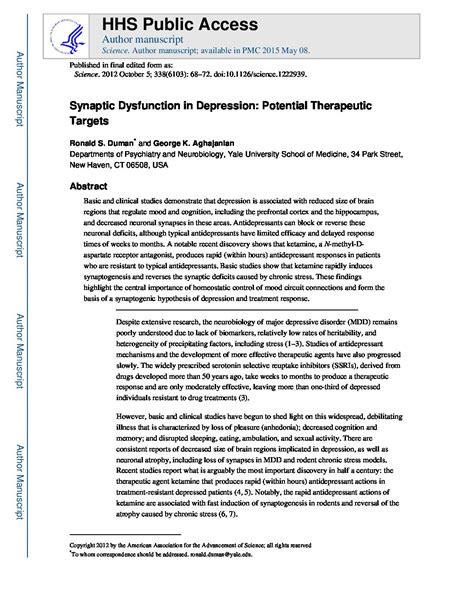 Synaptic Dysfunction In Depression Ed Skilling Institute