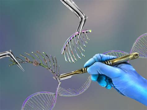 Crispr Breakthrough Targeting The Achilles Heel Of Aml A Leap Towards Precision Oncology