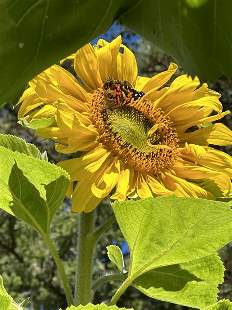 Untitled Perry Flickr