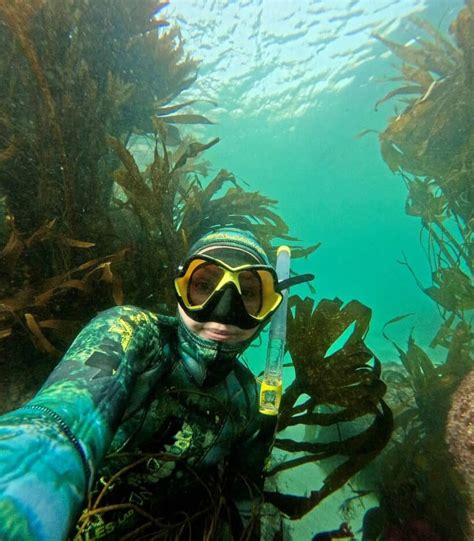 The Secret Life Ofkelp Beach Retreats