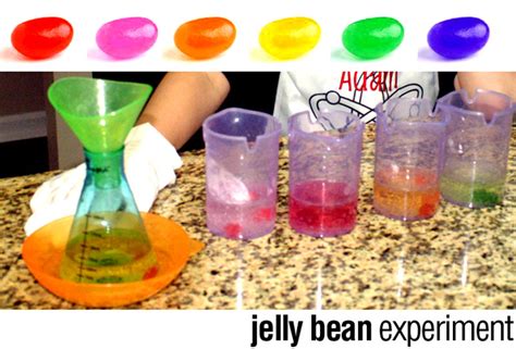 E Is For Explore Jelly Bean Science And Math