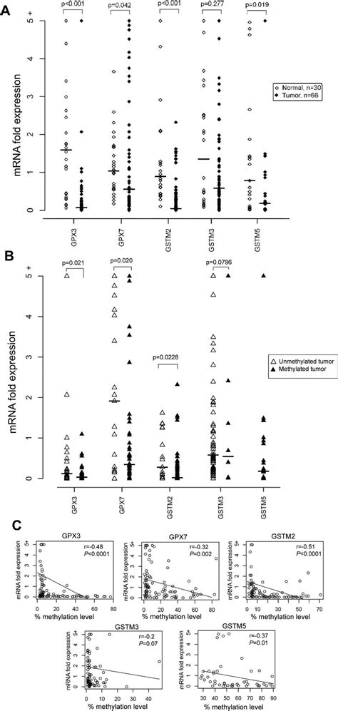 A Correlation Analysis Between Dna Methylation And Gene Expression