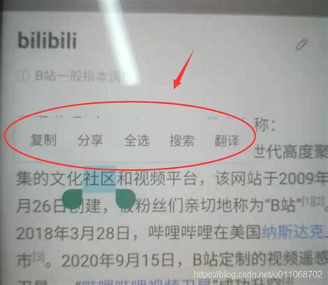 Android之实现长按webview页面文字自定义复制、全选、分享、搜索、翻译功能（支持多语言，博文也有demo下载地址，绝对没问题）安卓 文本长按复制粘贴 Csdn博客