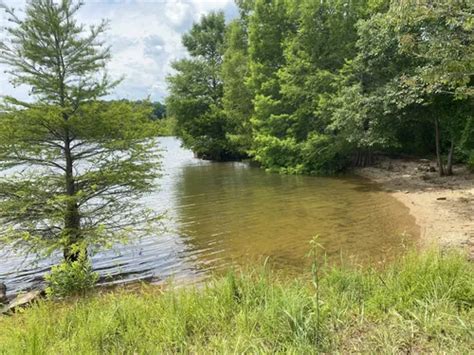 10 Best Trail Running Trails In Wake Forest Alltrails