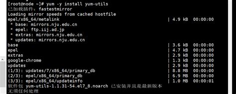 linux下安装部署无法联网缺少依赖包解决方案 安装nginx碰到依赖包缺失的问题怎么解决 csdn博客