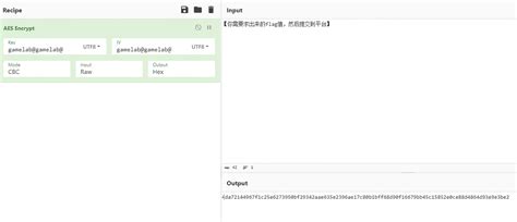 2024年第十五届蓝桥杯网络安全赛项初赛writeup（附所有题目） 返璞归真