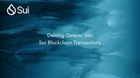 Delving Deeper Into Sui Blockchain Transactions By Malcolmandmanhal Feb 2024 Medium
