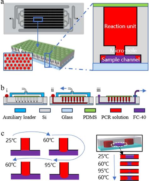 Figure 1 From A Digital Pcr Chip With 3d Structure And Composite