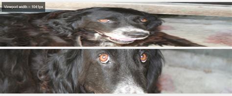 Designing For Different Screen Sizes And Devices Part 2 Protostarspace