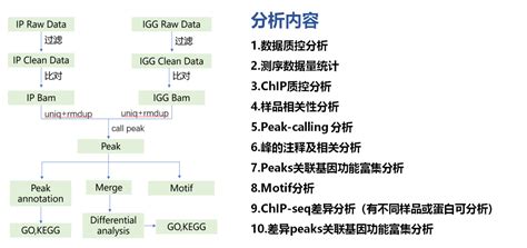 Chip Seq技术服务攸归（上海）生物科技有限公司