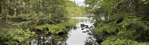 Meisel Woods Trail 53 Reviews Map Ontario Canada Alltrails